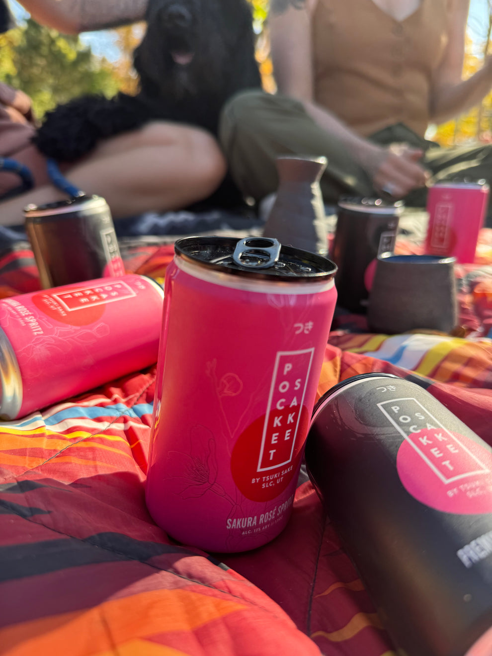 Open media 1 in modal Play video